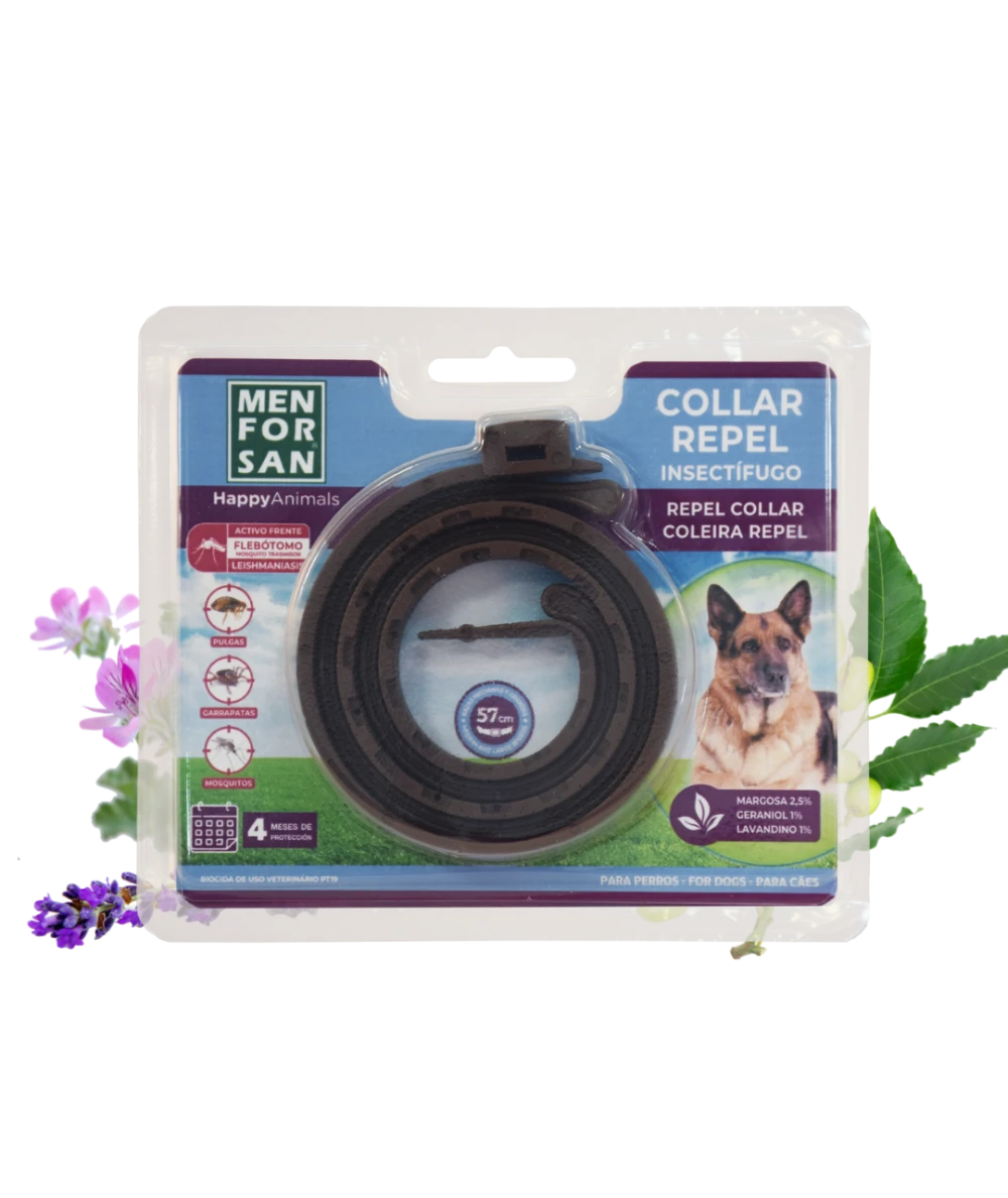 Anti-insect collar for dogs | Menforsan